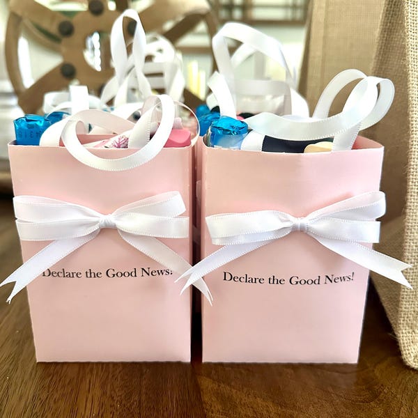 Favor Bags. Blush/pale Pink Small Elegant Goodie Bags With Satin Ribbon ...