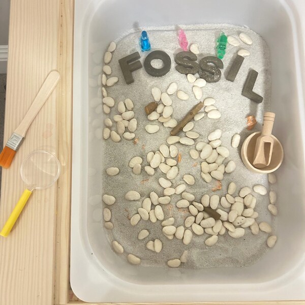 Ocean Exploration Sensory Bin, Montessori Under the Sea Play, Resin ...