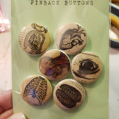 Vintage Anatomy 1 Inch Pinback Buttons Set of 6 ASSORTED - Etsy