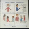 EMDR Therapy: Visual Aids Flipbook for Trauma & EMDR Therapy – Handmade ...