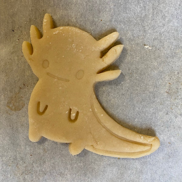 Cute Axlotl Cookie Cutter, Axolotl Gifts, Fondant Clay Cutter, Gift for ...