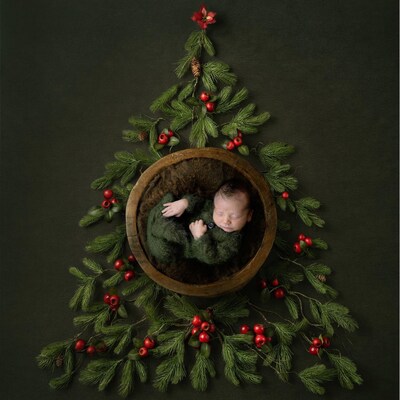 Digital Backdrop, Background Newborn Baby Girl Boy Dark Brown , Tree ...