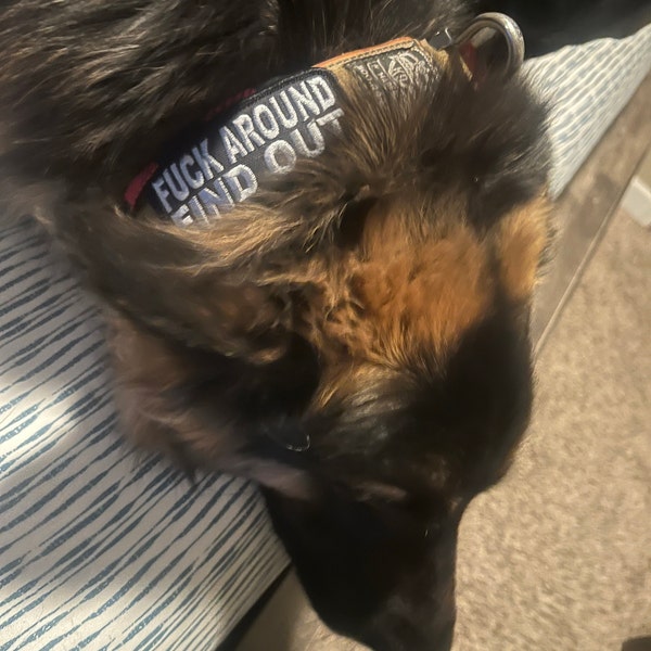 German Shepherd Patches Ready to Attach to Dog Vest / Harness. Dog Vest Harness Patches, Do Not ...