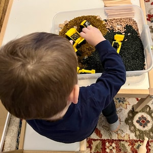 Bug Hunt Sensory Bin Featuring Insect Puzzle Cards - Etsy