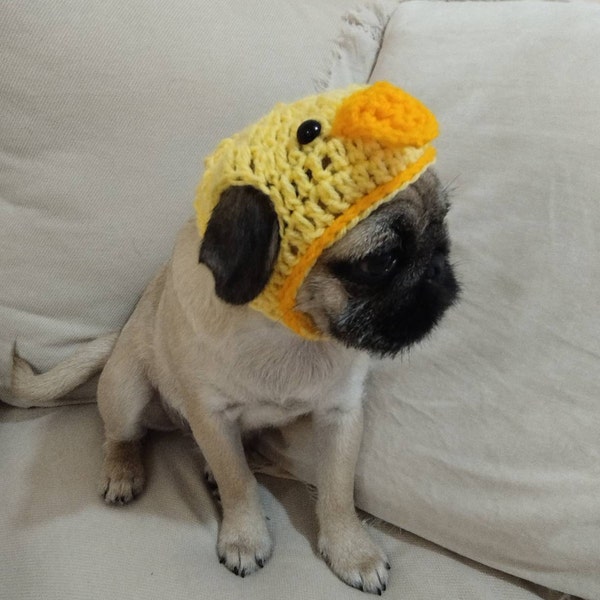 Crochet Flower Dog Hat; Flower Pug Hat; Hats for Dogs; Hats for Pugs ...