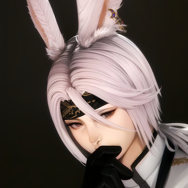 Final Fantasy XIV Static Portrait Commission - Etsy