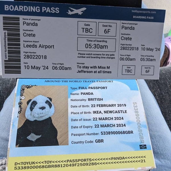 Personalised Toy Passport: Custom Photo & Birth Details - Etsy