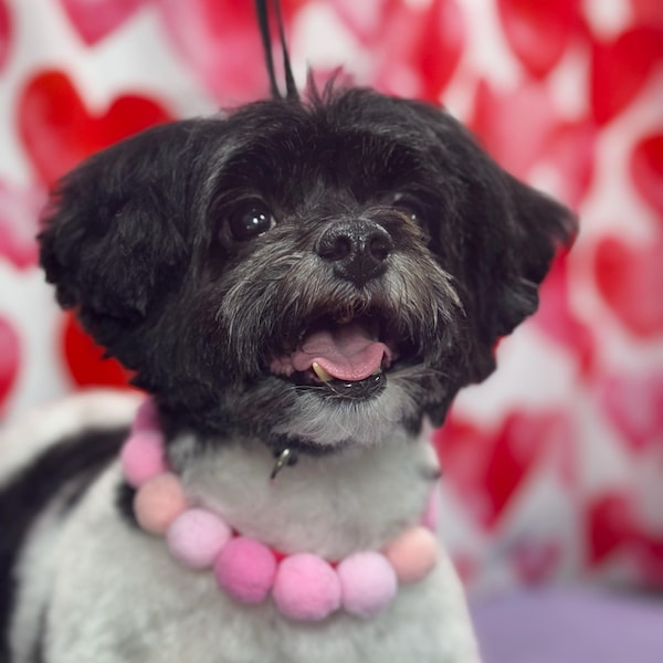 Plain DOG BOWS, Tulle Dog Bows, Grooming Dog Topknot Bows - Etsy