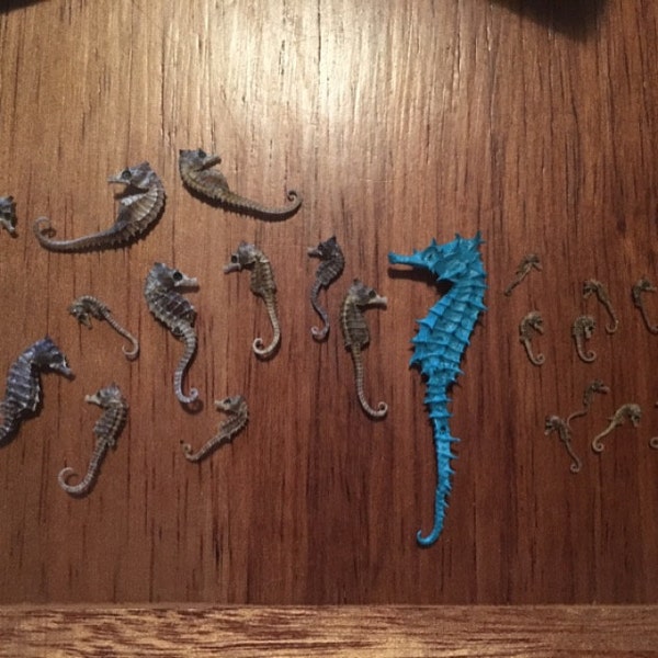 US George Washington Red 2c Postage Stamp - Etsy