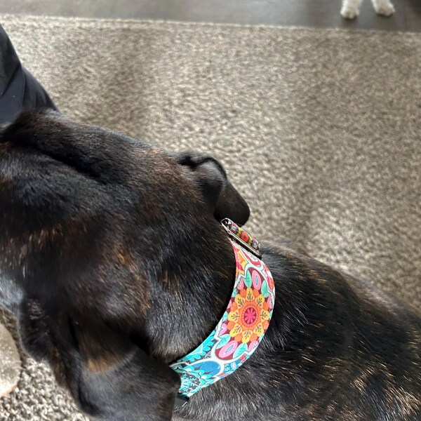 Paisley Flip Flop Red Greyhound Martingale Dog Collar - 1", 1.5", 2 ...