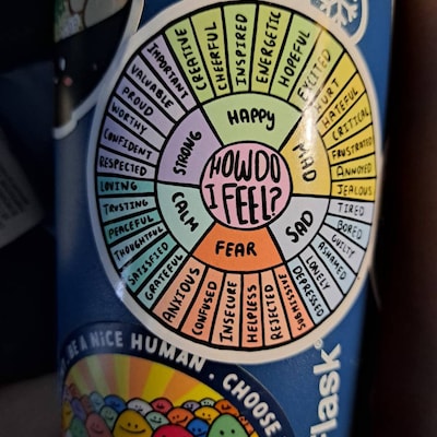 Feelings Wheel Sticker, Mental Health Vinyl Sticker, Emotions Wheel ...