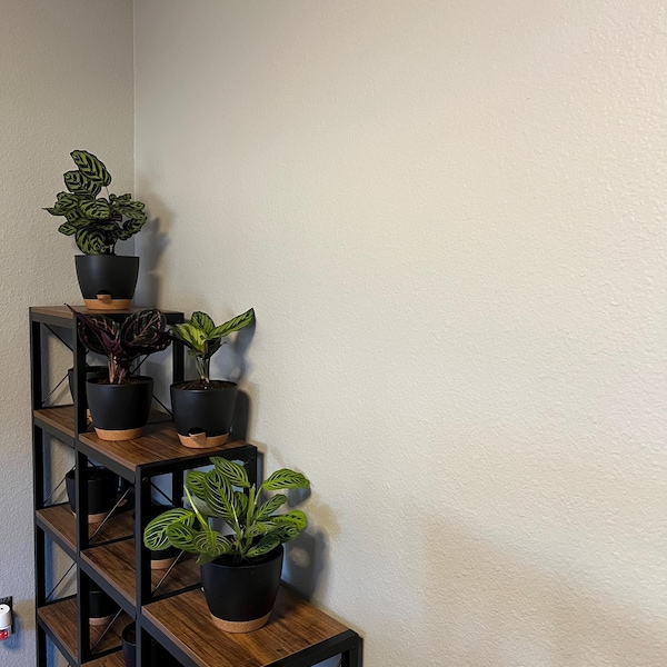 Large Neon Pothos Hanging House Plant Trailing Indoor Plant in 6 Pot - Etsy