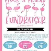 Flock My Yard Fundraiser, You've Been Flocked, Youth Fundraiser, Flamingo Fundraiser, Flocked ...