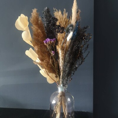 RAINBOW Dried Sago Palm Leaves 1st, Multicolor, Natural Dry Flower Home ...