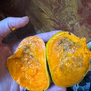 Chitale Bandhu Rajkot Pedha - Etsy