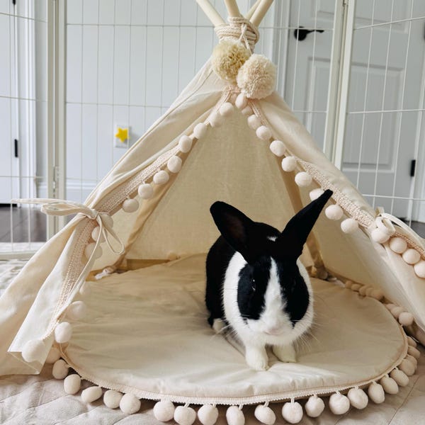 Rabbit Bed, Bunny Bed, Rabbit House, Bunny Teepee, Pet Teepee, Guinea ...