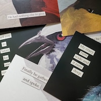 Troubled Bird Postcard Set of 50 Birds Animal Mincing Mockingbird - Etsy