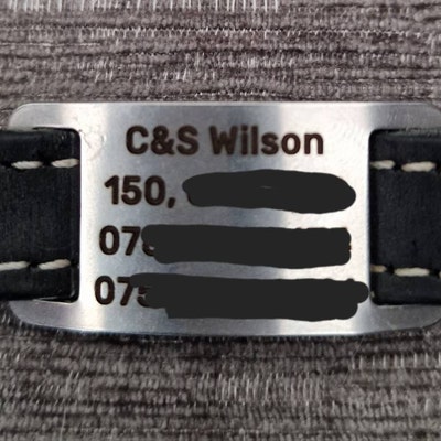 Agility and Working Dog Slip on ID Collar Tag. Stainless Steel FREE ...