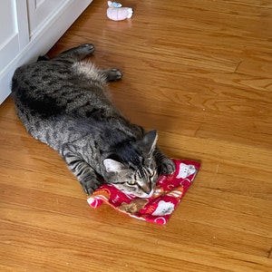 Refillable Catnip Cat Mat - Etsy