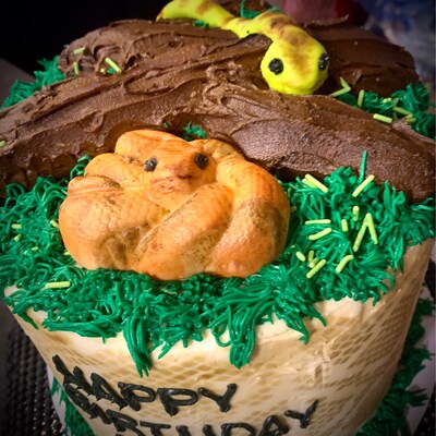 SNAKE SHAPED MOLD, Python Mold, Cobra Soap Mold, Bath Bomb Mold ...