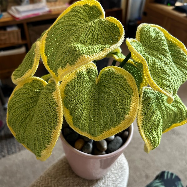 Crochet Hosta Plant Pattern: Photo Tutorial (PDF Pattern) - Etsy