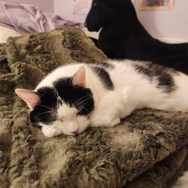 Adult Minky Blanket, Gifts for Mom - Moss Green Glacier, Adult Throw ...