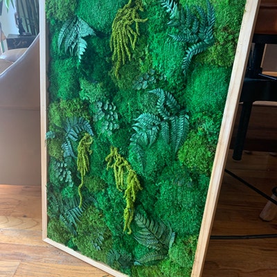 Starburst Moss Wall Art - Etsy