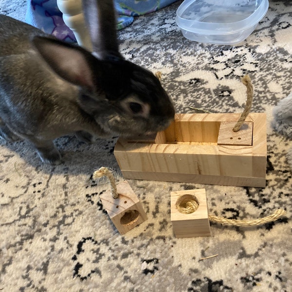 Rabbit Puzzle Treat Toy - Etsy