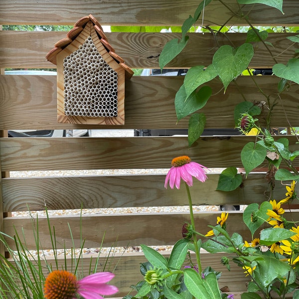 Colorful Bee Water Station - Quench Your Bee's Thirst in Style With ...