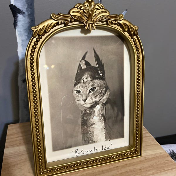 Brünnhilde, Valkyrie Cat Photograph, Antique Vintage Cat Photo Print ...