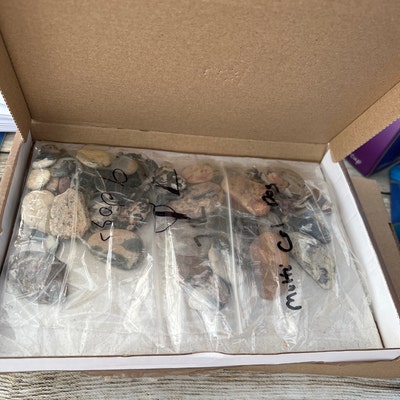 Pebble People 6 Coloured Dogs Pebblessmoothish and Flatish - Etsy