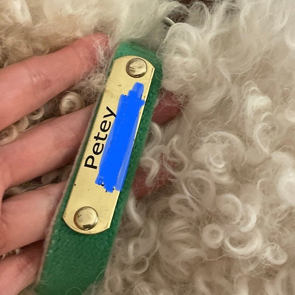 Personalized Brass Rivet Tags | Collar Pet ID Tag | Dog Tag Collar Name ...