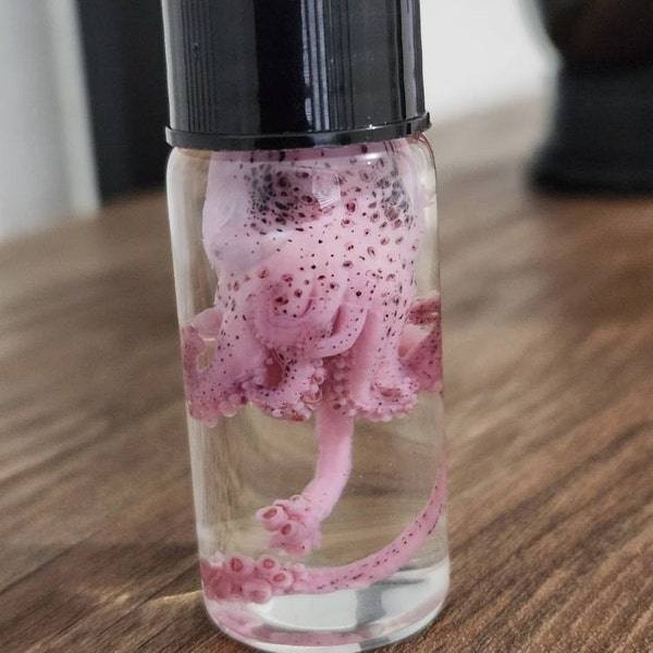 Real Cute PINK Cuttlefish in a Jar, Wet Specimen, Squid, Tentacles ...