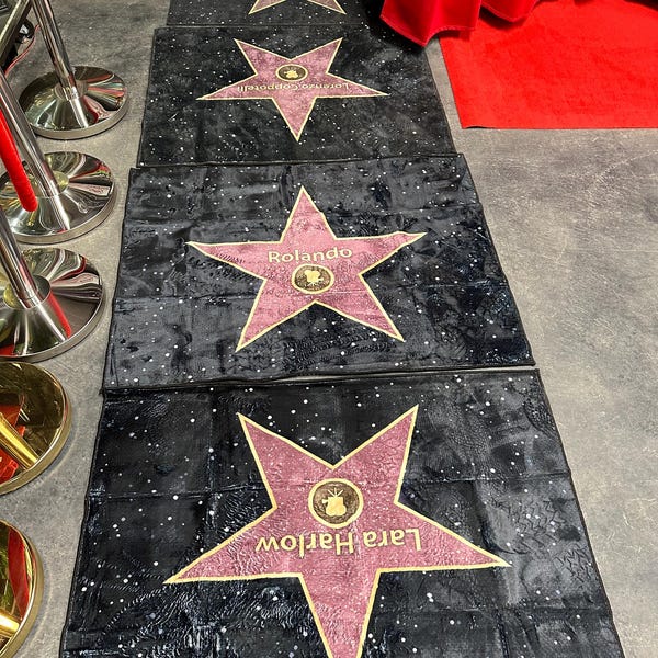 Woman Rug, Body Rug, Fantasy Rug, Bikini Rug, Young Room Decor, Popular ...