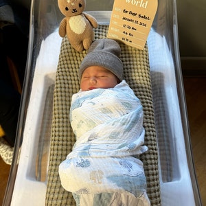 Golf Monthly Milestone Discs Wooden Monthly Milestone Markers Baby ...