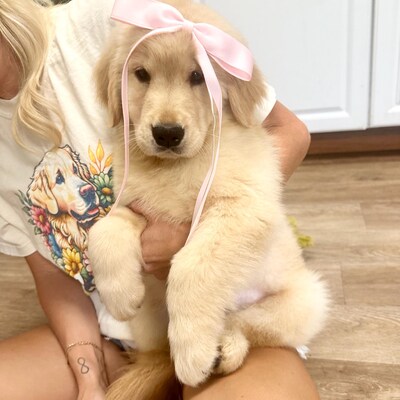 ABA Therapy Sticker, ABA Therapist Merch, Registered Behavior ...