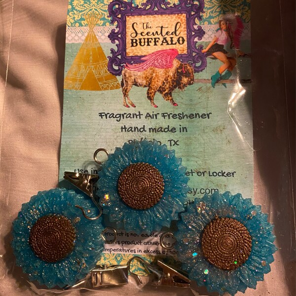 Pumpkin Vent Freshies, Air Vent Freshies, Wholesale Freshies/fall Car ...