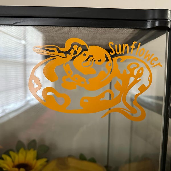 Cuvier's Dwarf Caiman Customizable Decal, Gift Crocodilian Sticker for ...