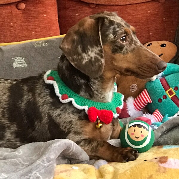 Crocheted Christmas Pet Collar - Festive Cat Dog Outfit Christmas ...