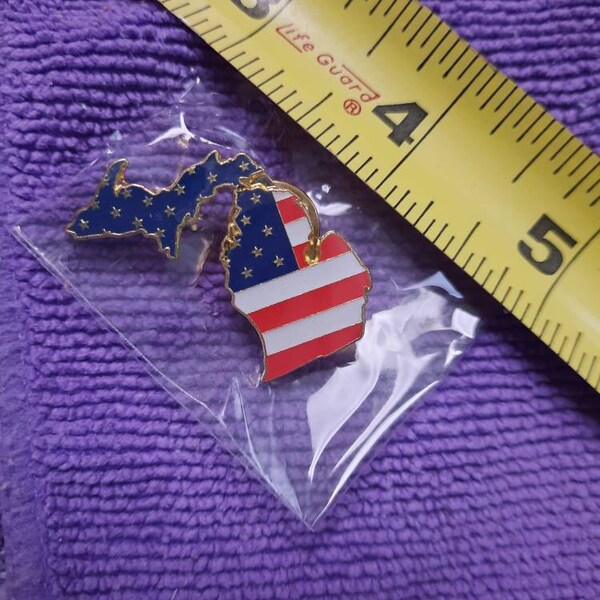 North Carolina State Lapel Pin NC US Flag American USA Patriot Politics ...