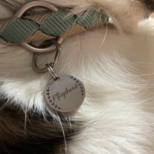 Dog Tags Stainless Steel Engraved With Frame Personalized Different ...