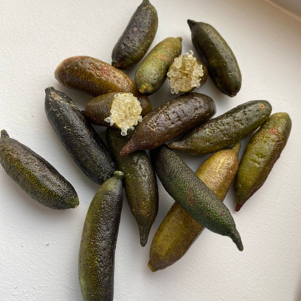 Fresh Naturally Grown Finger Limes - 12 Count *free Priority Shipping ...