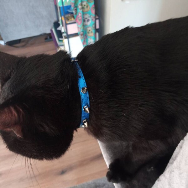 Spiked Cat Collar, Thin Collar, Leather Collar With Engraved Name ...