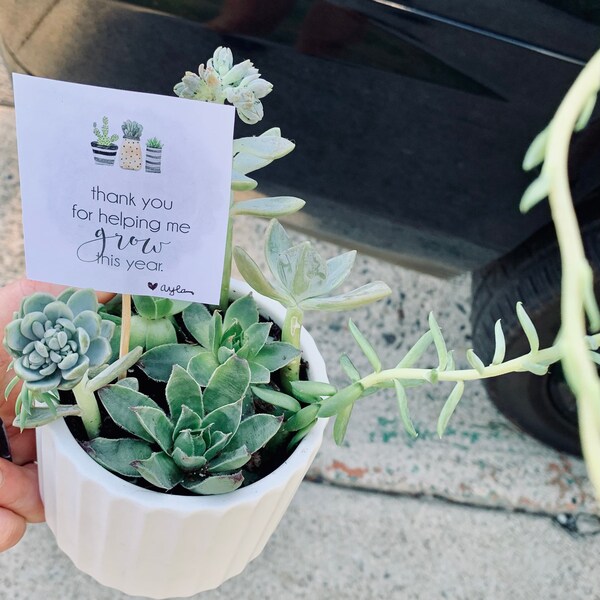 Succulent Plant Gift Tag Teacher Appreciation - End of School Year ...