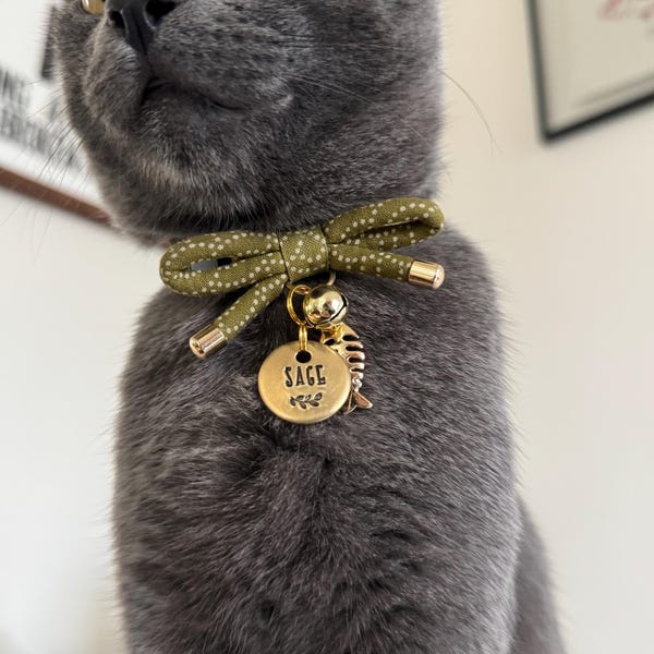 Cat Tag, Cat ID Tag, Small Pet Tag, Cat Name Tag, Microchipped Tag ...