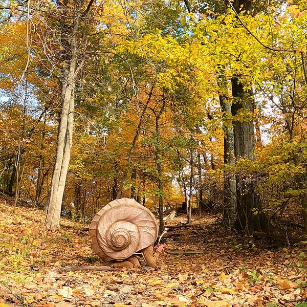 Snail Shell Tutorial DIY Halloween Cosplay Costume Tutorial - Etsy