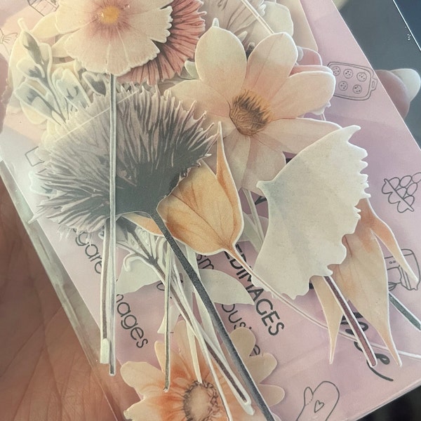 Pack of 18 Edible Die Cut Wafer Pressed Dried Flowers, Bpho Wafer Paper ...
