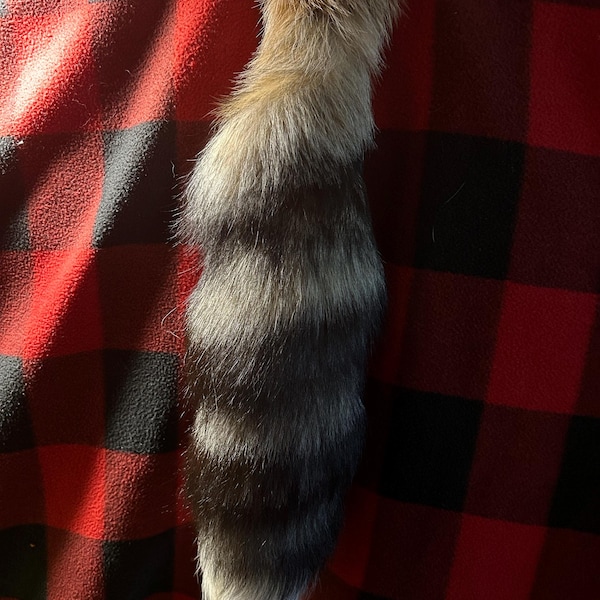 Triple Red Fox Pelt Mantle, Cape on Brown Leather Base - Etsy