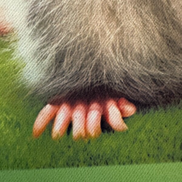 Possum Lover Gift, Opossum Backpack, Wildlife Rucksack, Nature Lover ...