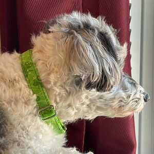 ACU Digital Camo Dog Collar by Swanky Pet | Etsy